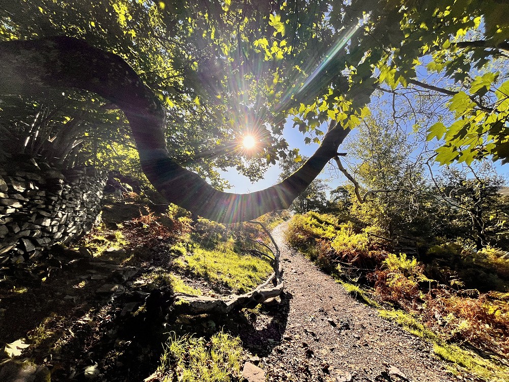 Autumnal Grasmere - Cottages Cumbria Blog